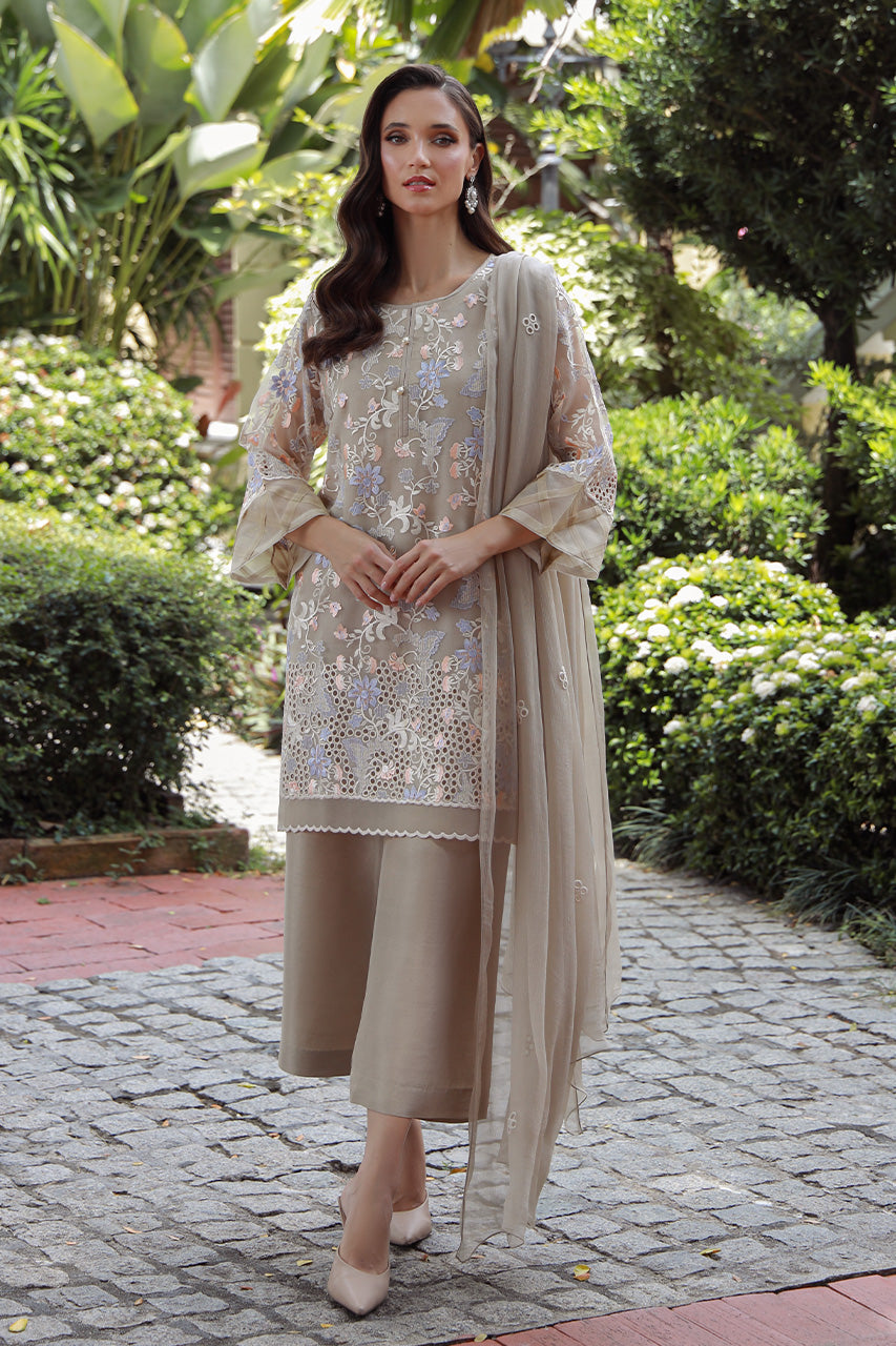 Daruna – Shamsha Hashwani